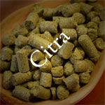 Citra Hop Pellets 1 oz — Learn to Brew