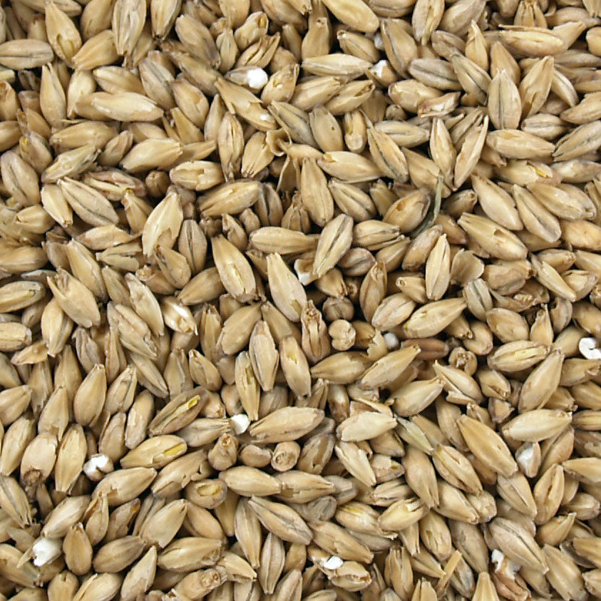 Amber Malt — Learn to Brew